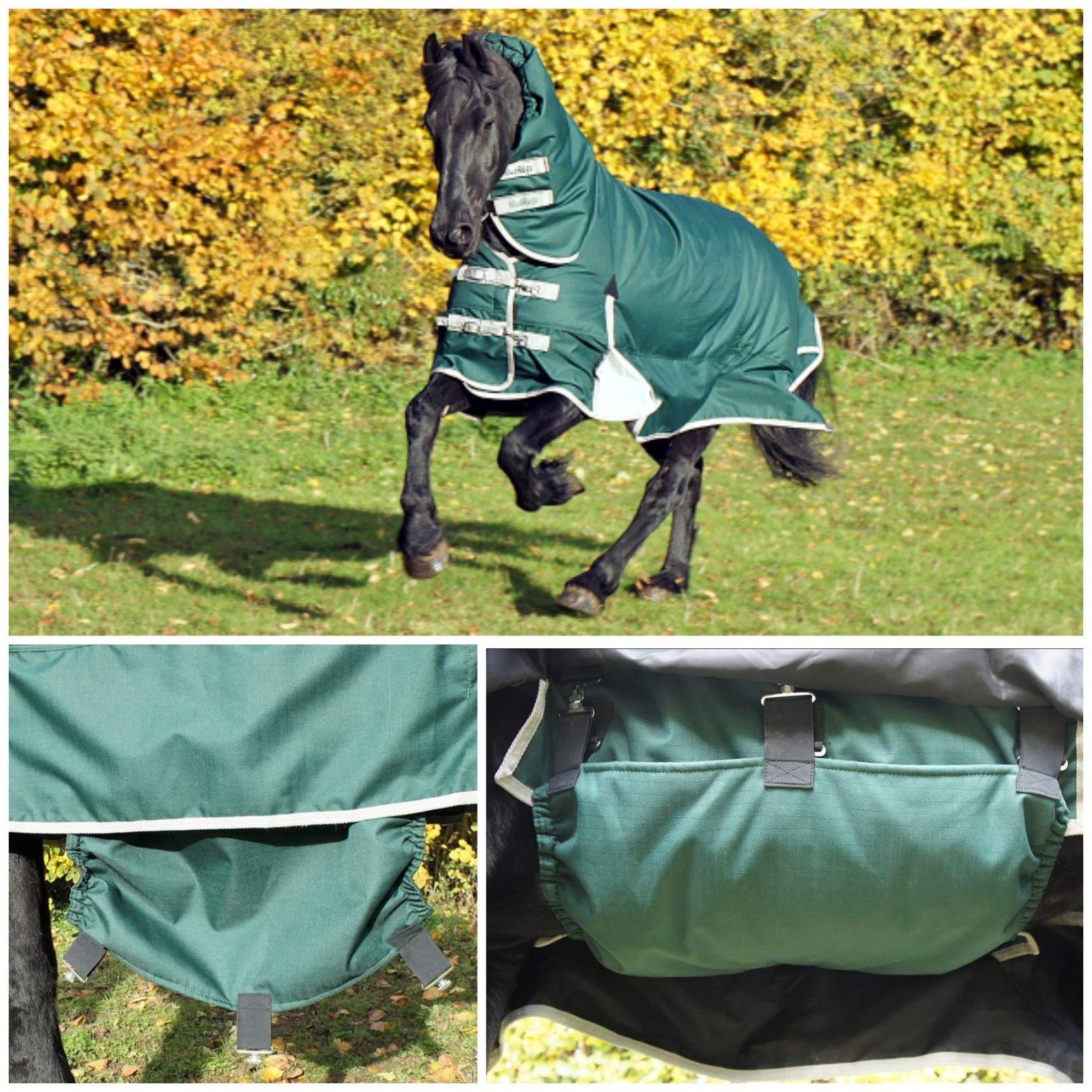 Turnout Rugs with Belly Covers – MudRugs
